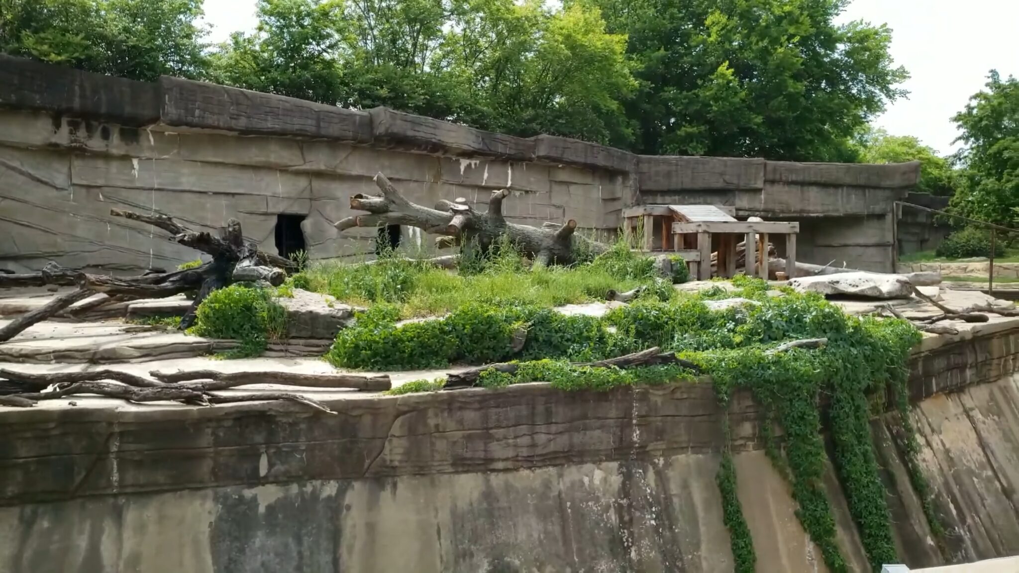 Tulsa Zoo - Everything You Need to Know