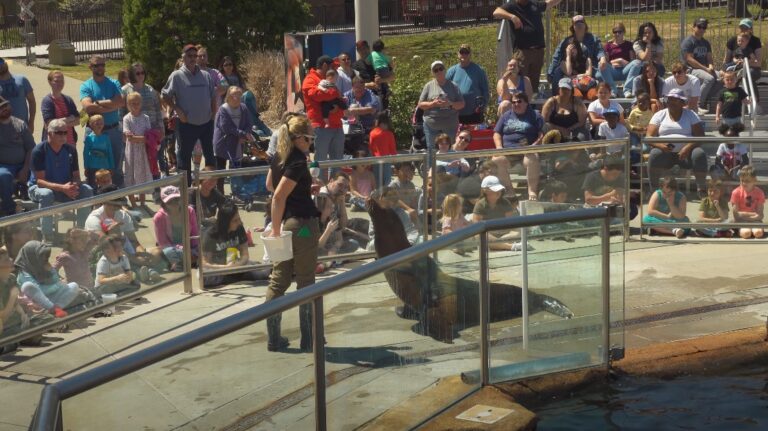 Tulsa Zoo - Everything You Need to Know